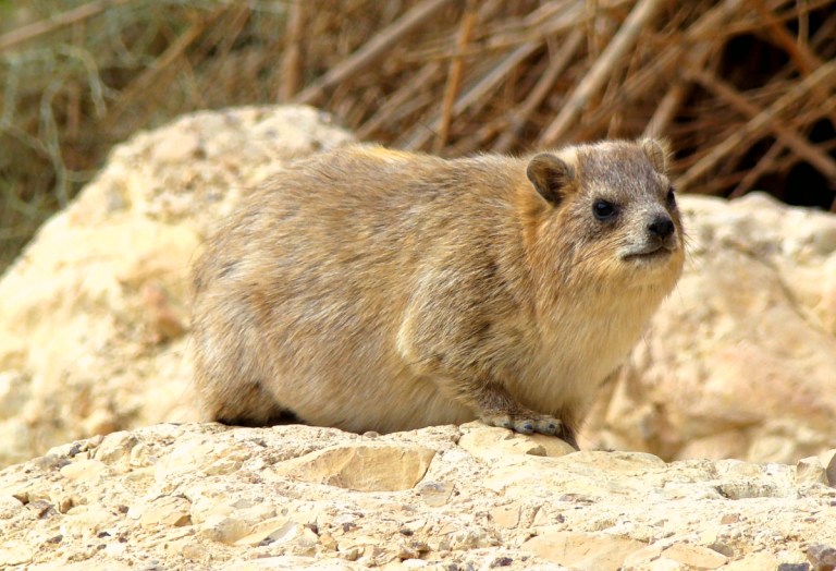 2019 | leonmauldin.blog