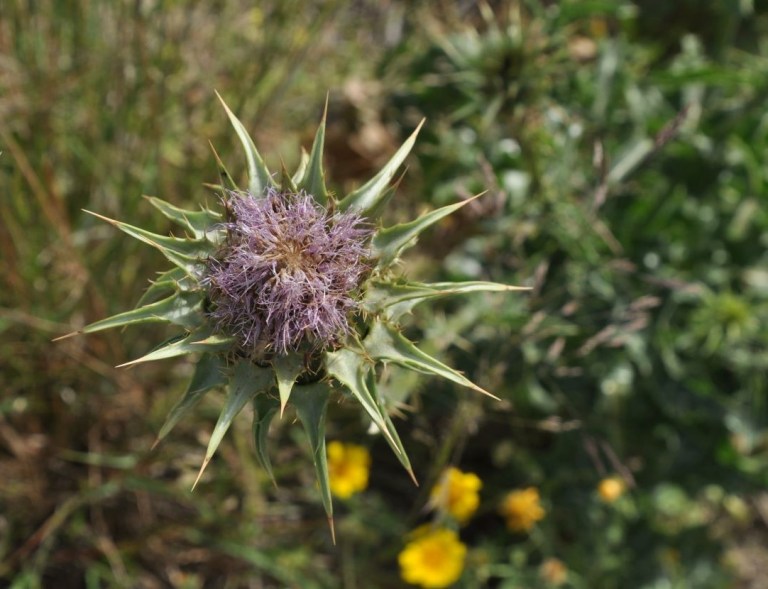 Leon's Message Board | Bible History and Geography…and more.